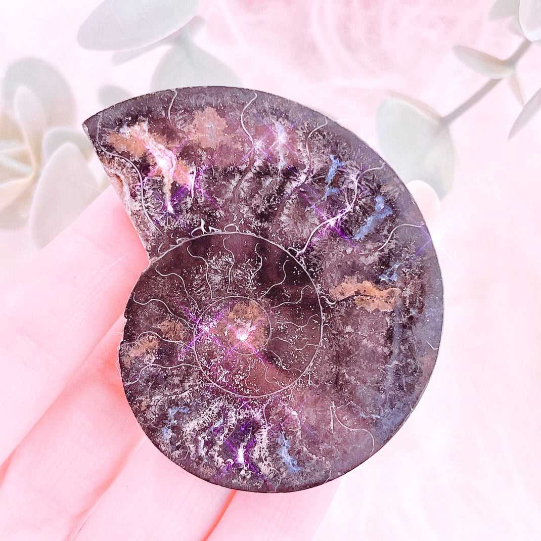 Ammonite Crystal Meaning – Love Potion Crystals