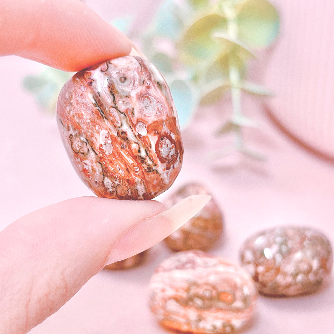 Leopardskin Jasper Crystal Meaning – Love Potion Crystals