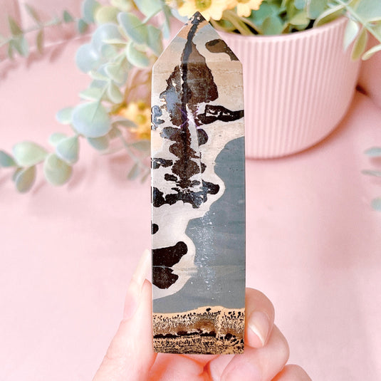 Picture Jasper Crystal Meaning – Love Potion Crystals